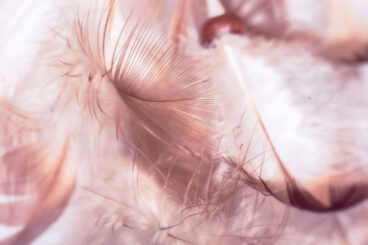 artience Toyo Ink Europe | A different dimension of softness: say…